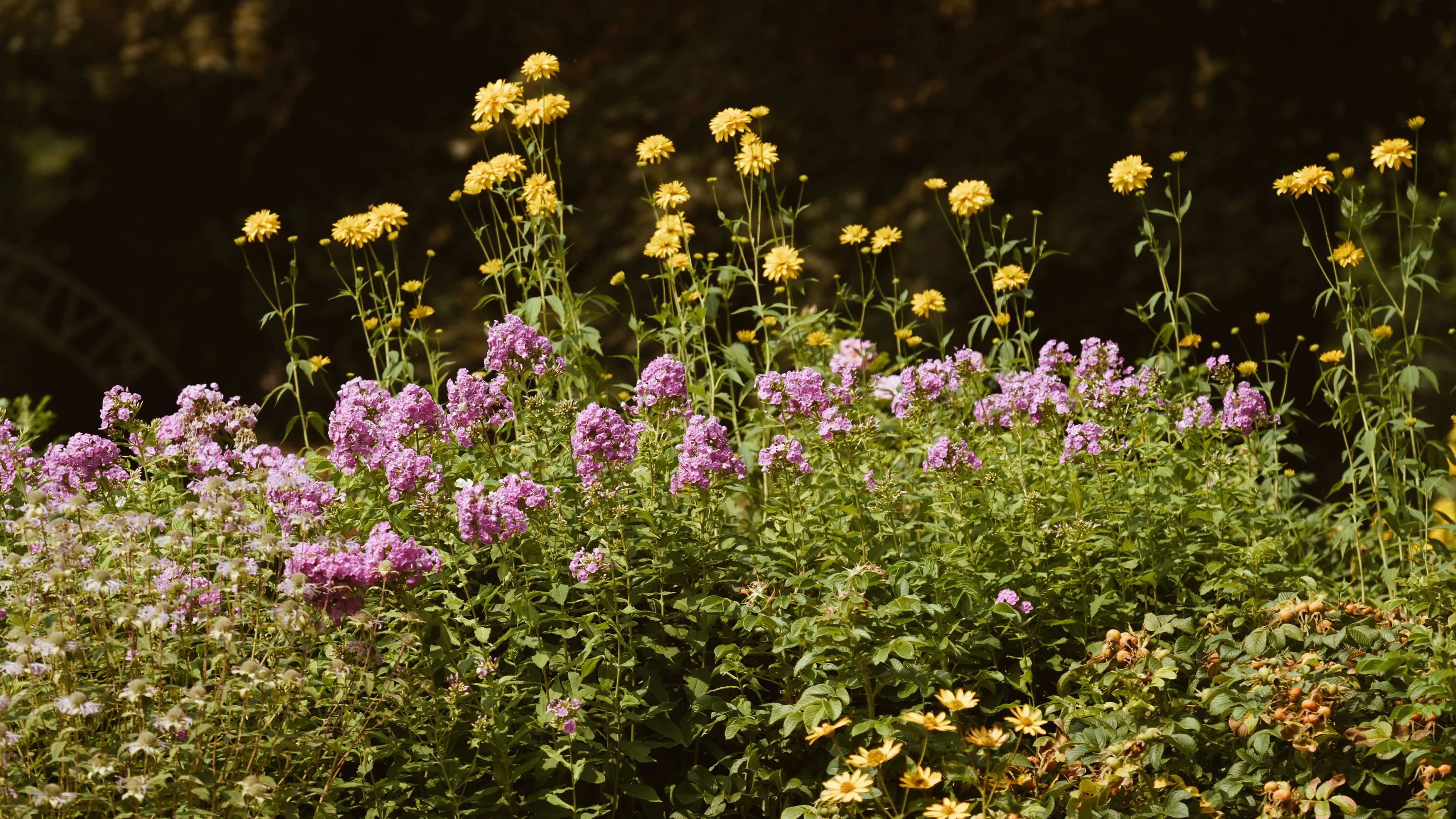 Solar Noon Botanicals – Beautyhabit