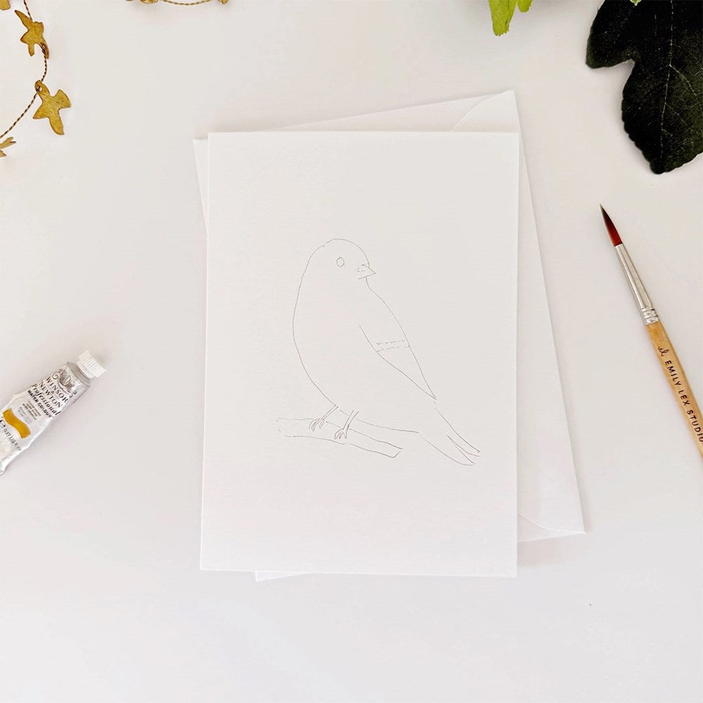 Emily Lex Studio Backyard Birds Paintable Notecards – Beautyhabit