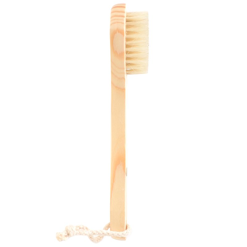 Cedar Complexion Brush | Beautyhabit